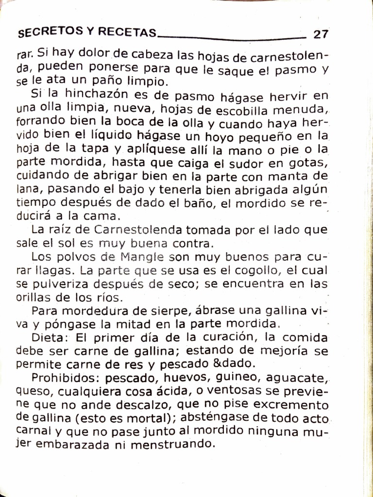 2 Parte (Libro Secretos y Recetas) | PDF | Serpiente