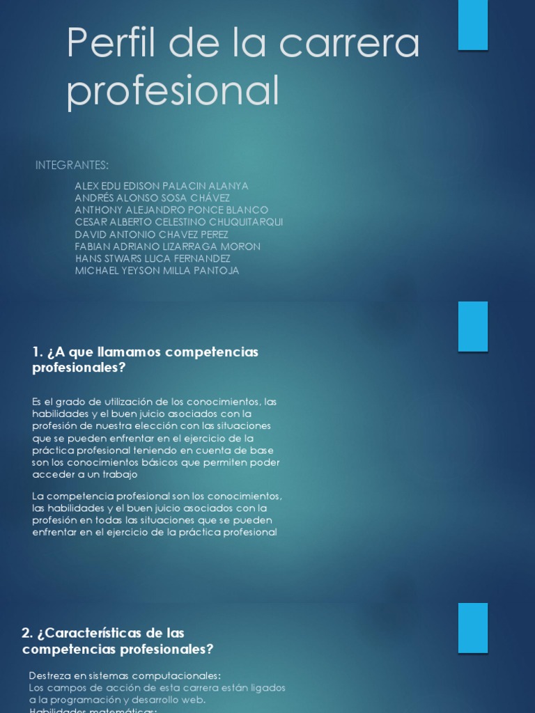 Perfil De La Carrera Profesional Pdf
