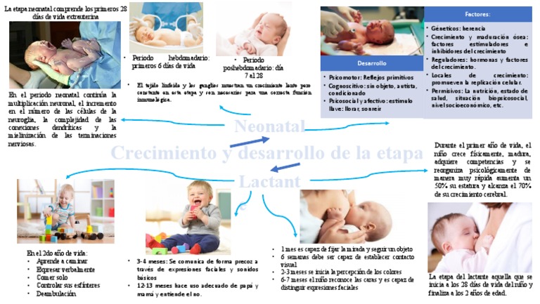 Crecimiento y Desarrollo de La Etapa Lactante PEDIATRIA MAPA | PDF ...