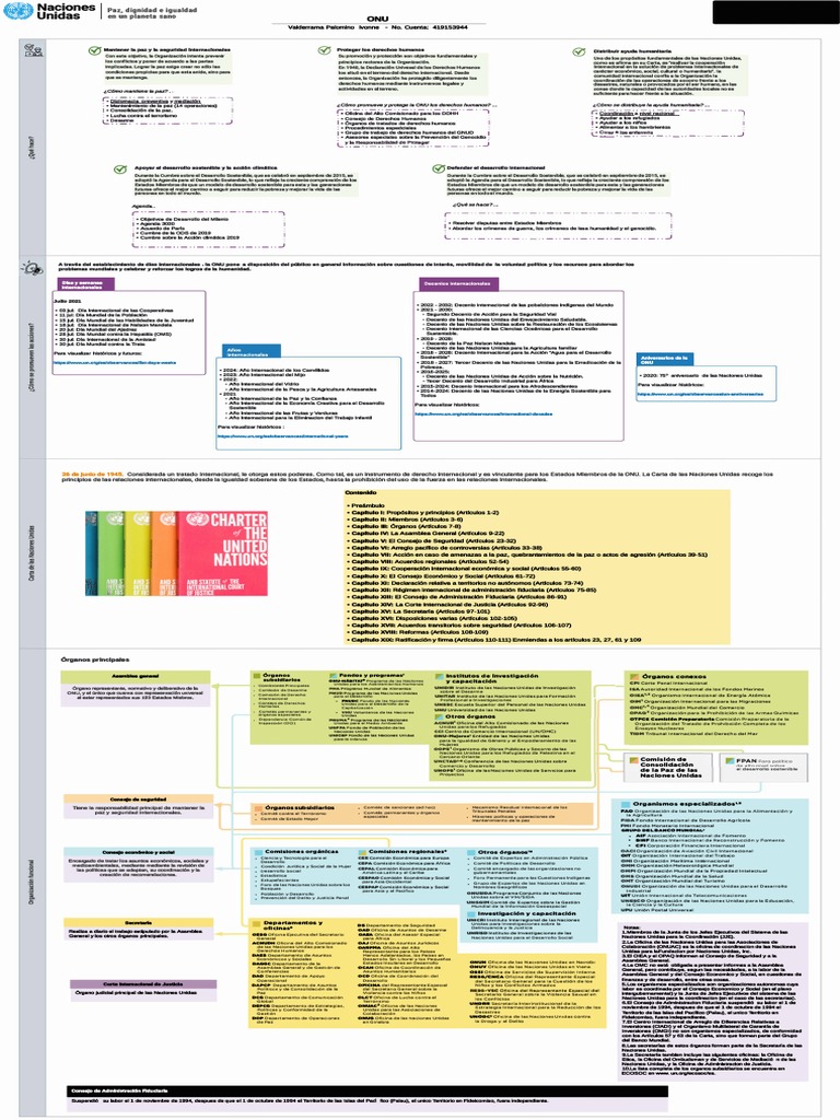 Organización de La ONU | PDF | Naciones Unidas | Relaciones internacionales