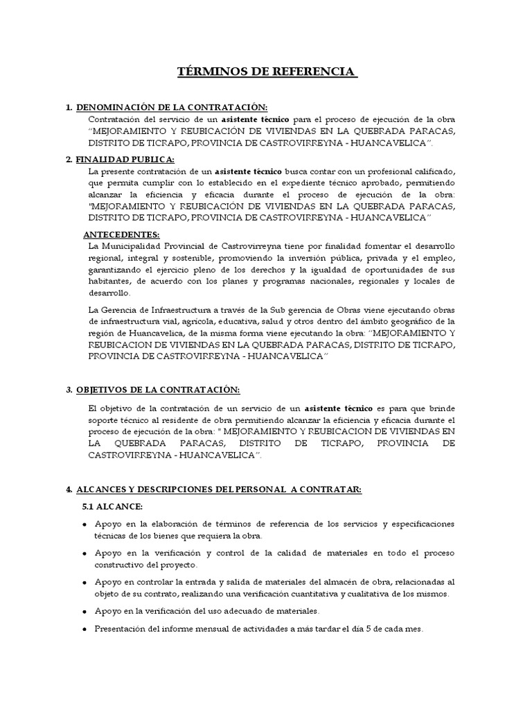 TDR Asistente Tecnico | PDF