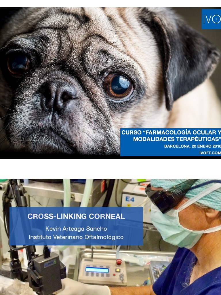 Cross Linking Corneal | PDF | Córnea | Medicina CLINICA
