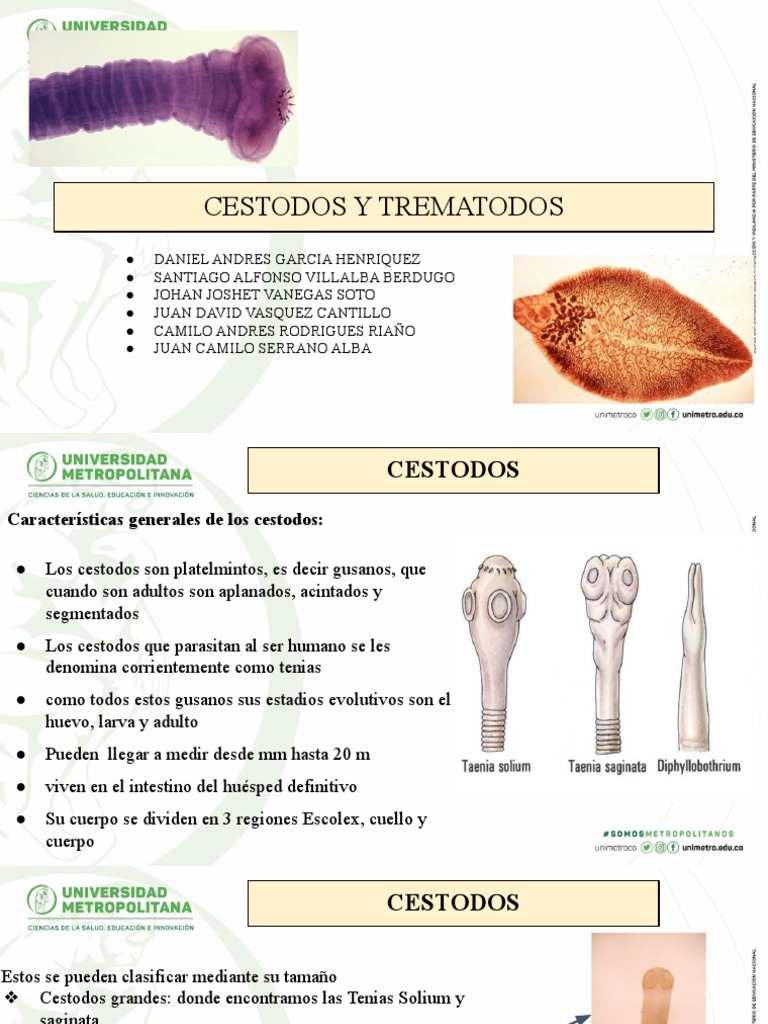 Exposicion Cestodos y Trematodos | PDF | Enfermedades y trastornos | Medicina CLINICA