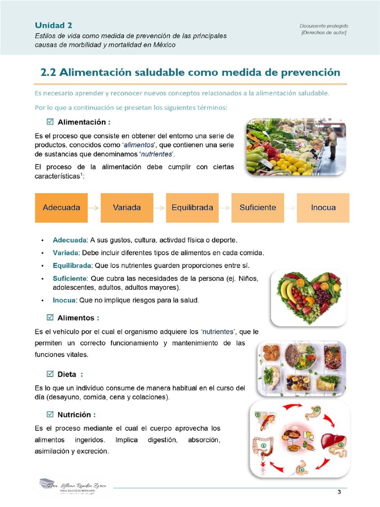 Nutrición Morfo | PDF