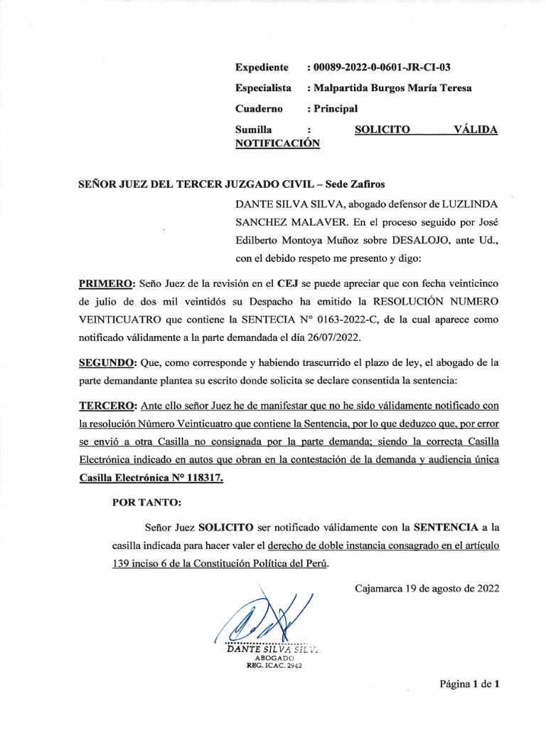 Solicito Válida Notificación | PDF