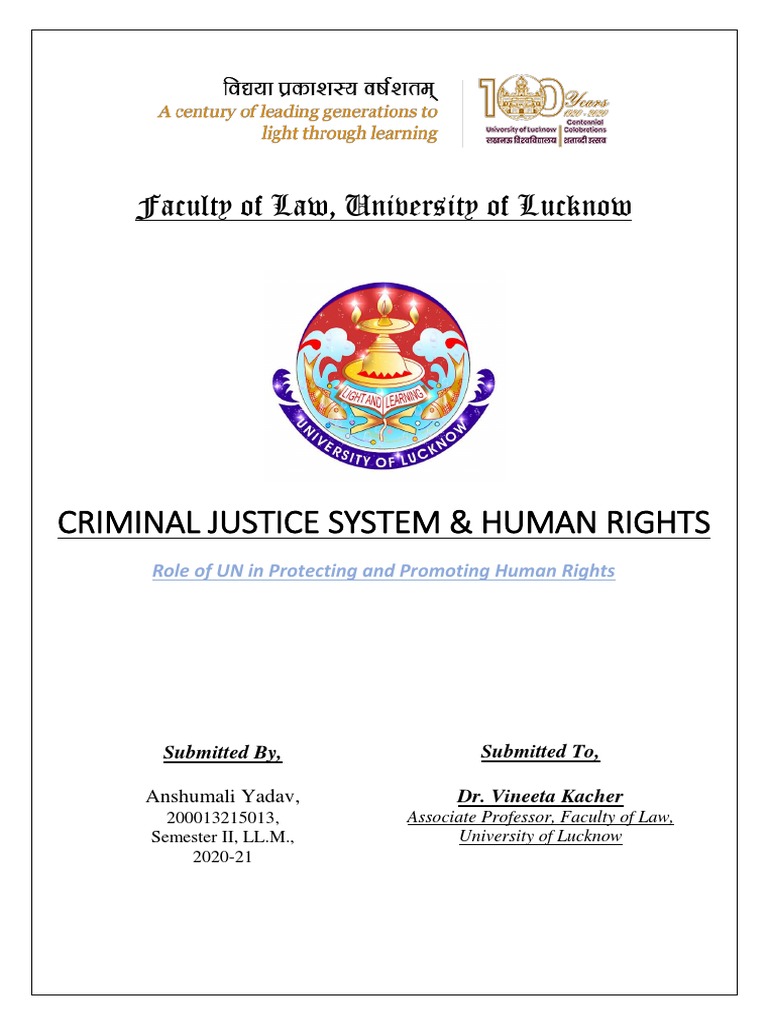 Role of UN in Protecting and Promoting Human Rights | PDF | Human ...