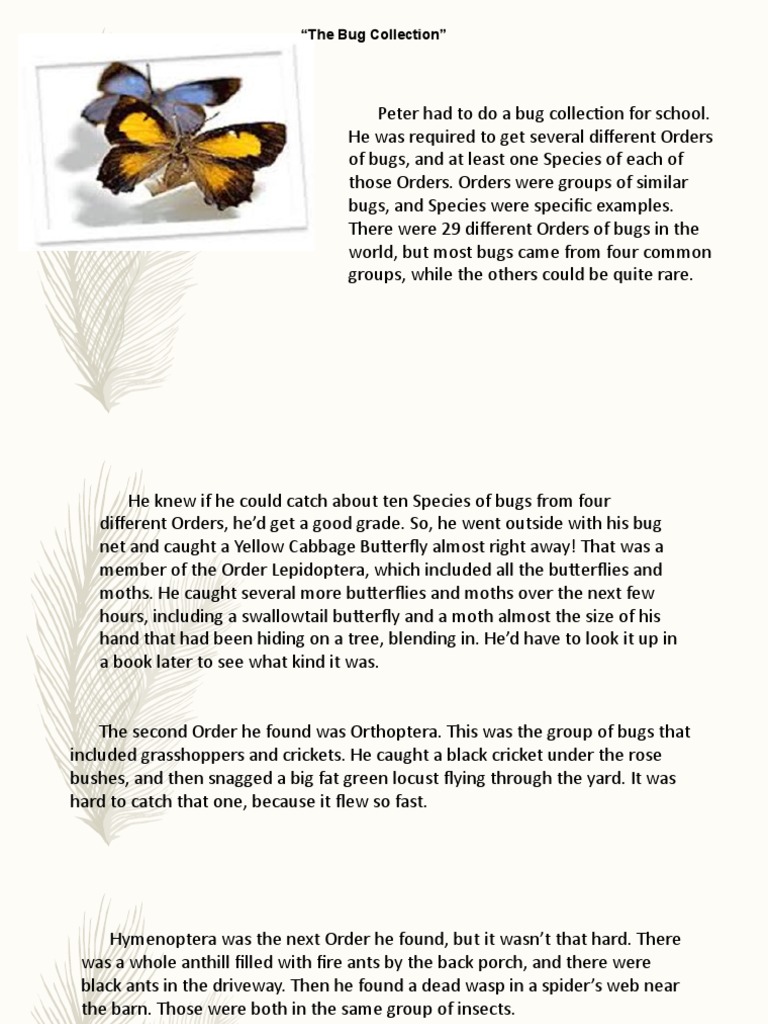 Graphic Organizer | PDF | Insects | Spider
