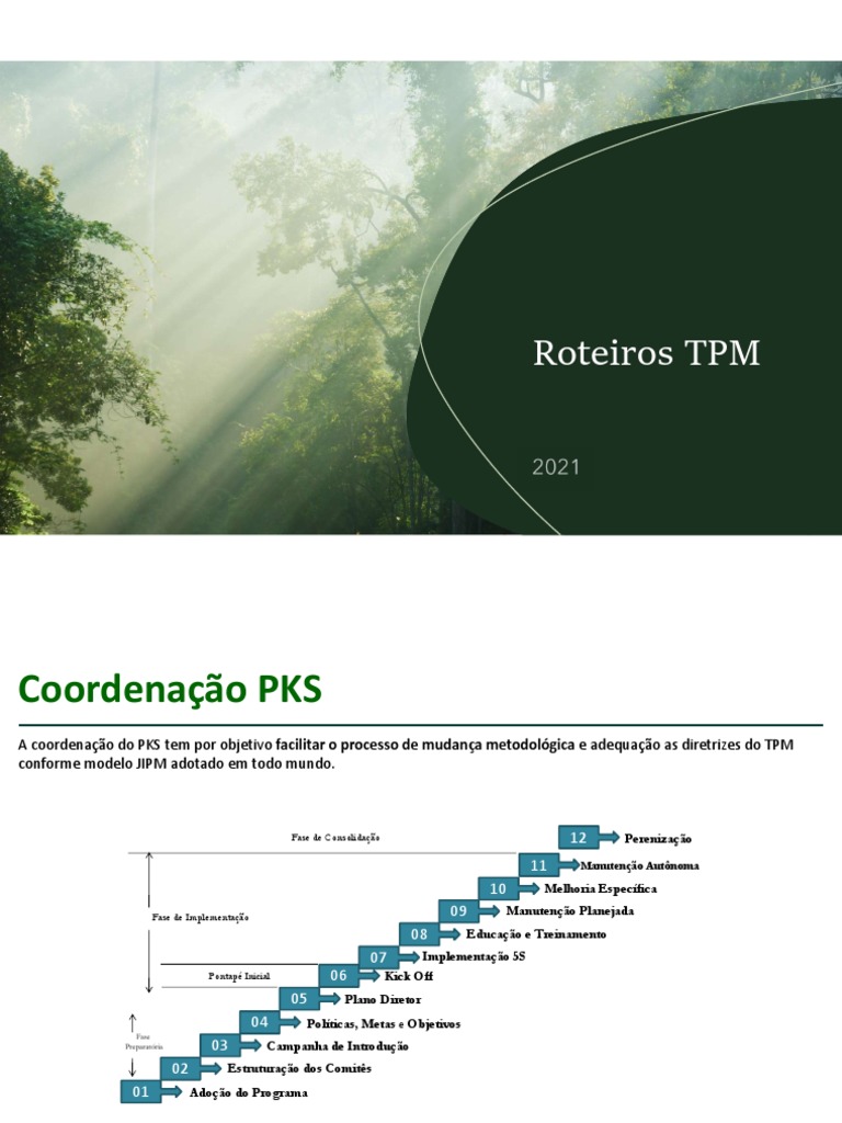 Roteiro para a Coordenação do Programa de Manutenção Produtiva (TPM ...