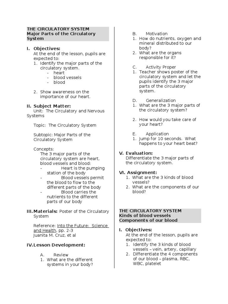 6th Grade Lesson Plan: Circulatory System | PDF | Circulatory System ...