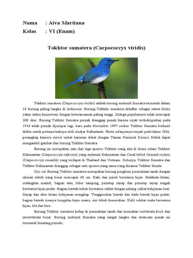 Burung Sumatera | PDF