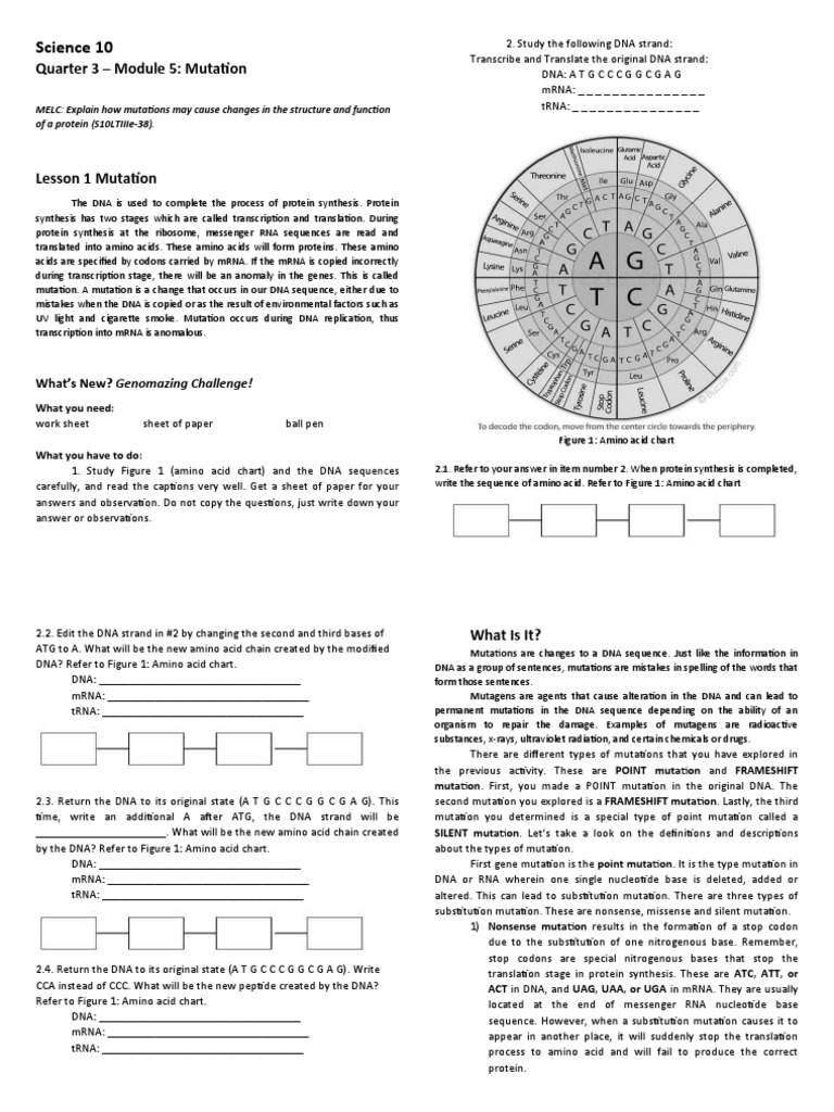 Science 10 Q3 w5 6 | PDF | Point Mutation | Translation (Biology)