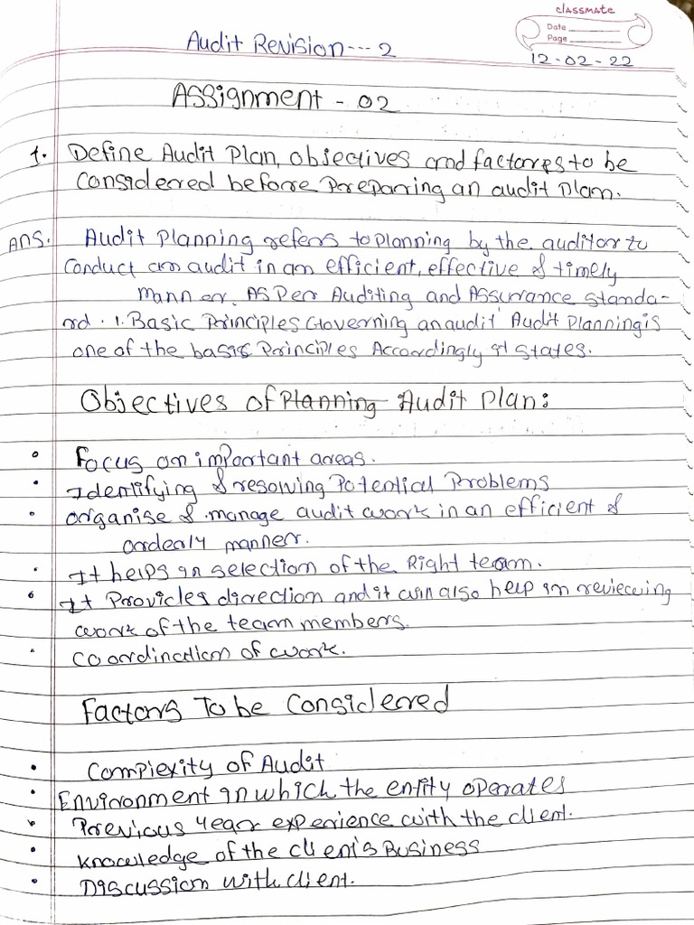 Audit Assignment 02 | PDF