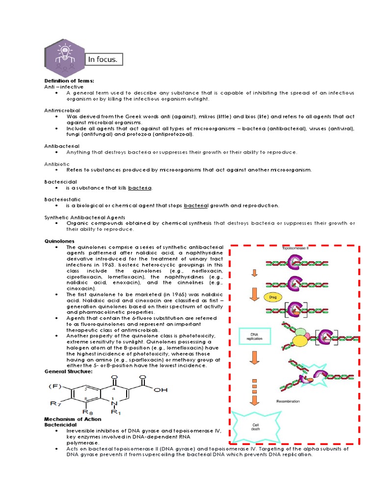 Handout Unit 7 | PDF | Antimicrobial | Microbiology