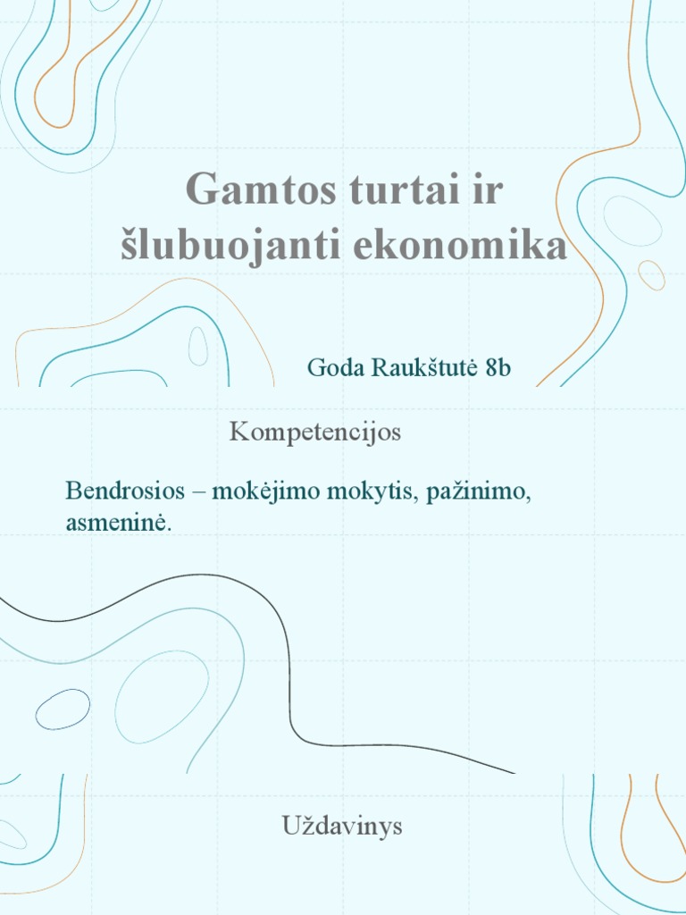 Gamtos Turtai Ir Šlubuojanti Ekonomika | PDF
