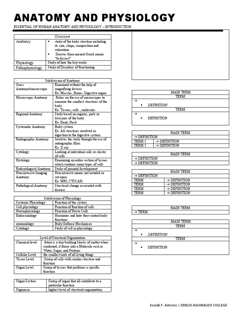 Anaphy Template | PDF | Anatomy | Histology