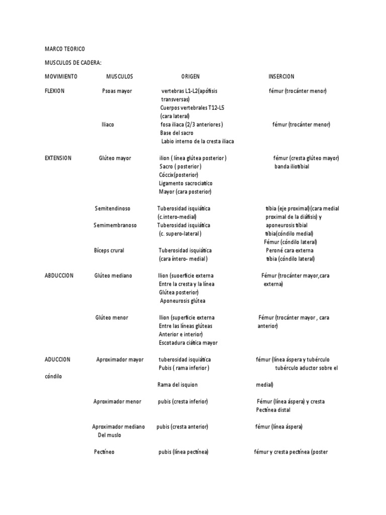 Marco Teorico 2 | PDF | Articulaciones | Tejido suave