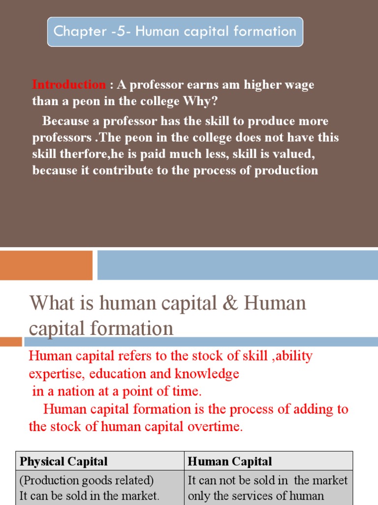 Understanding Human Capital Formation | PDF | Human Capital | Capital ...