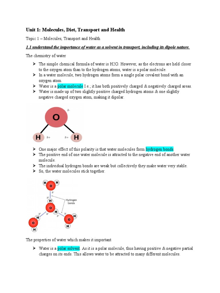 Edexcel IAL Biology Unit 1 Topic 1 - Molecules, Transport and Health ...