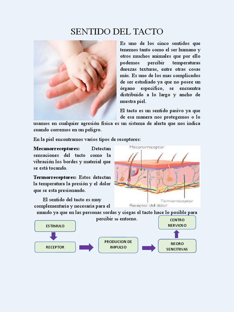 Importancia del sentido del tacto | PDF | Filosofía