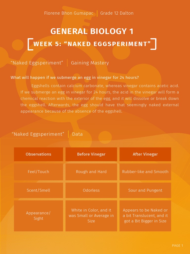 WEEK 5 "Naked Eggsperiment" | PDF | Vinegar | Egg