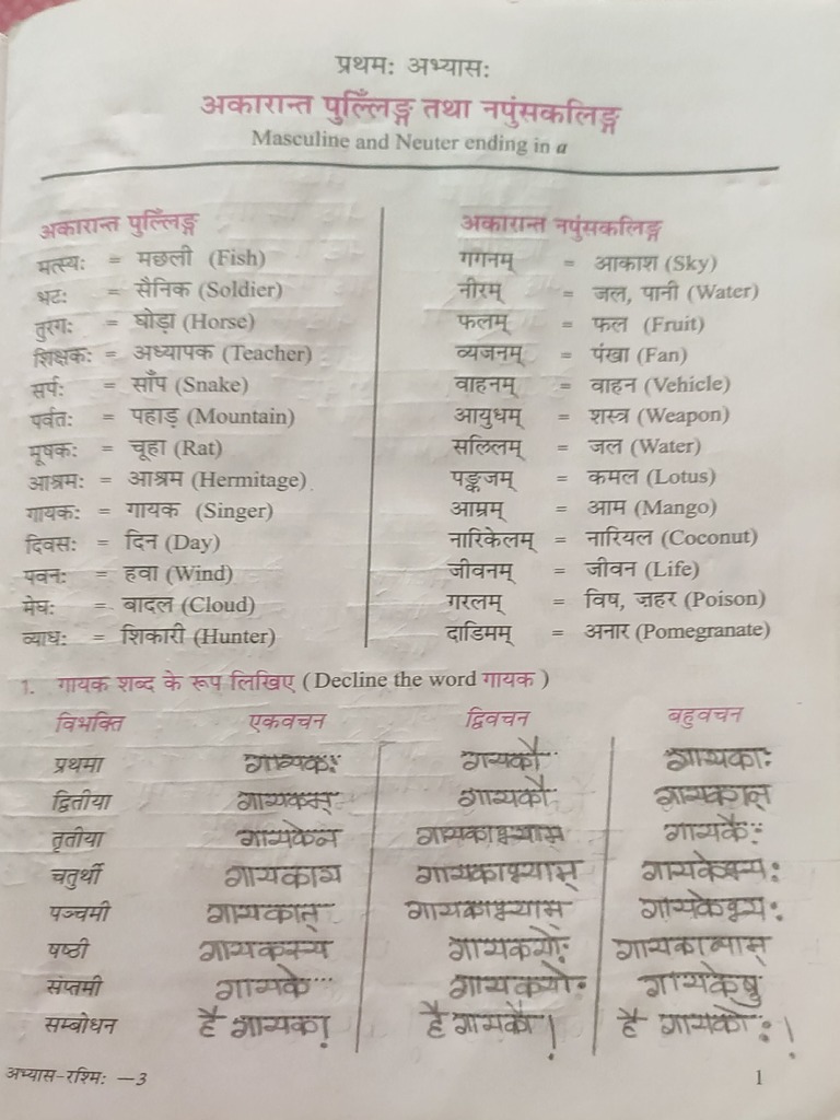 Sanskrit Class 8 | PDF
