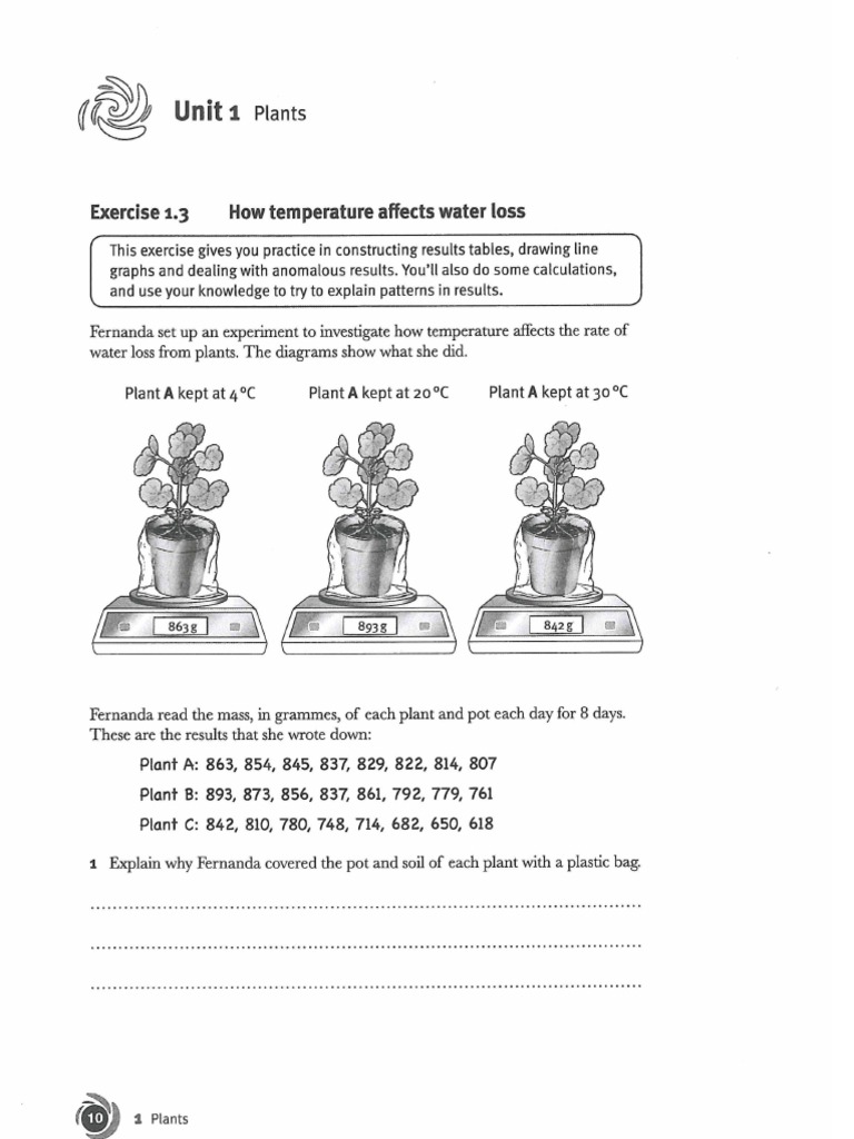 1.3 Plants and Water Workbook Pages | PDF