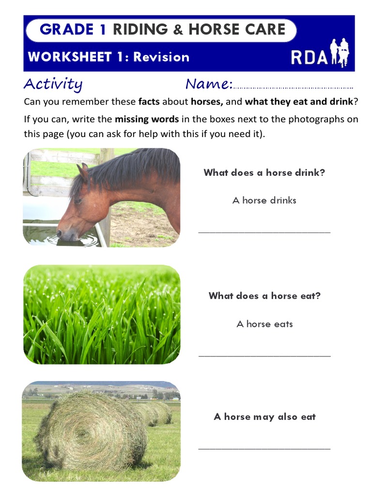 RDA Grade 1 2 3 Worksheets Riding Horse Care | PDF | Horses | Equestrianism
