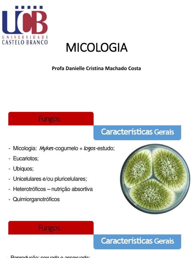 Características Gerais dos Fungos | PDF | Fungo | Célula (Biologia)