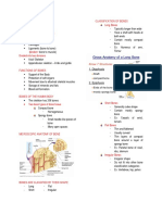 11 Human Body System | PDF | Human Body | Blood