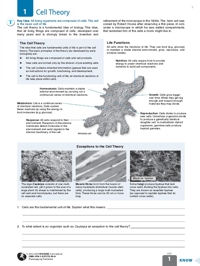 Cell Theory | PDF | Cell (Biology) | Life