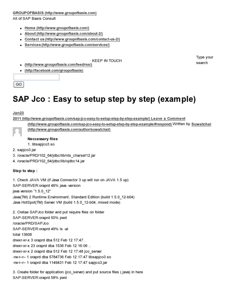 SAP Jco - Easy To Setup Step by Step (Example) - GROUPOFBASIS | PDF ...
