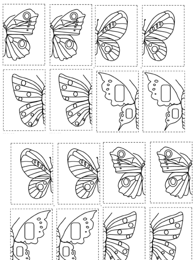 Papillons Symétrie | PDF