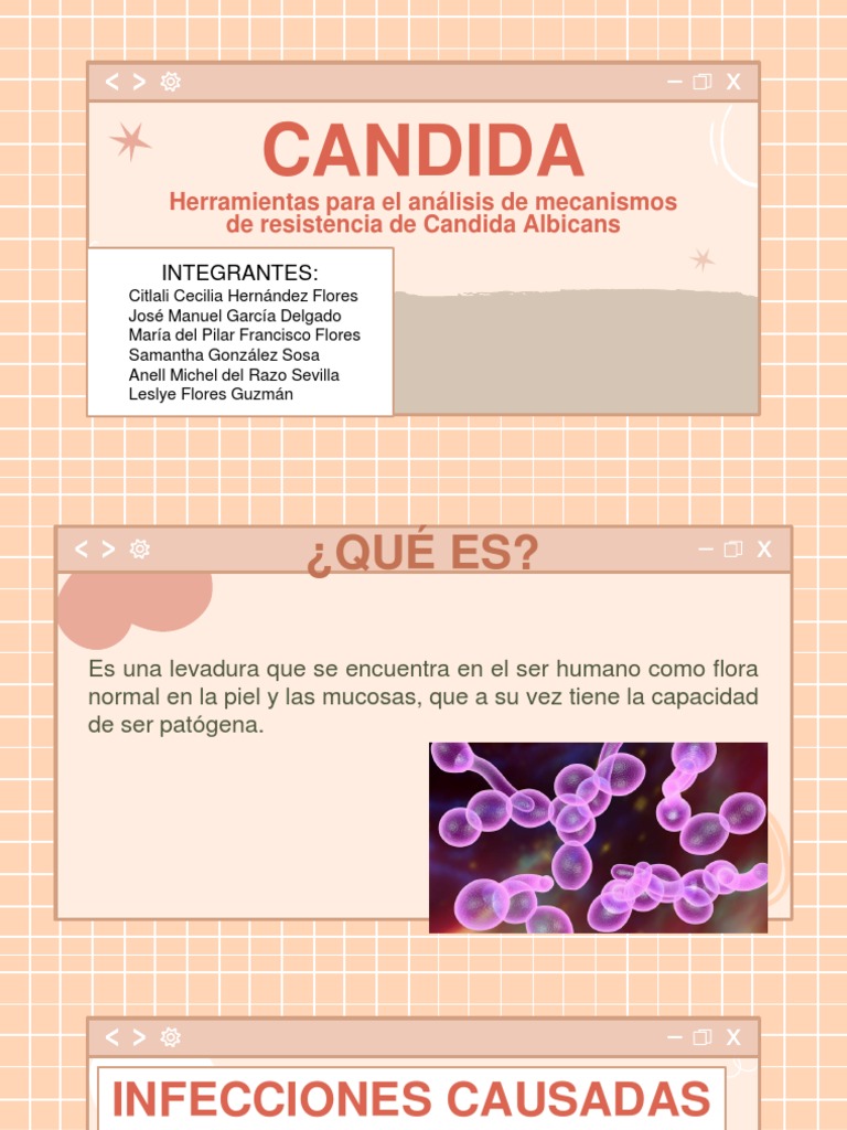 Candida Expo | PDF | Candidiasis | Biopelícula