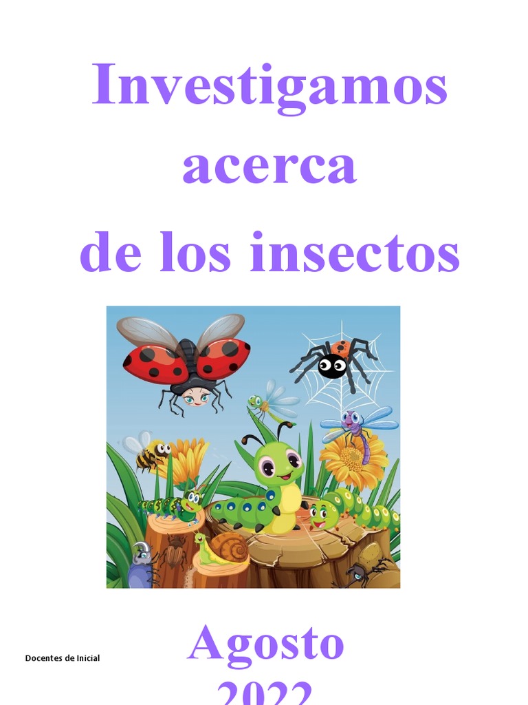 Insectos Proyecto | PDF | Información | Método de enseñanza