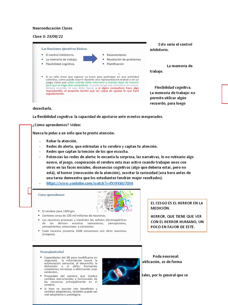 Neuroeducación Clase 23-8-22 | PDF | Las emociones | Cerebro