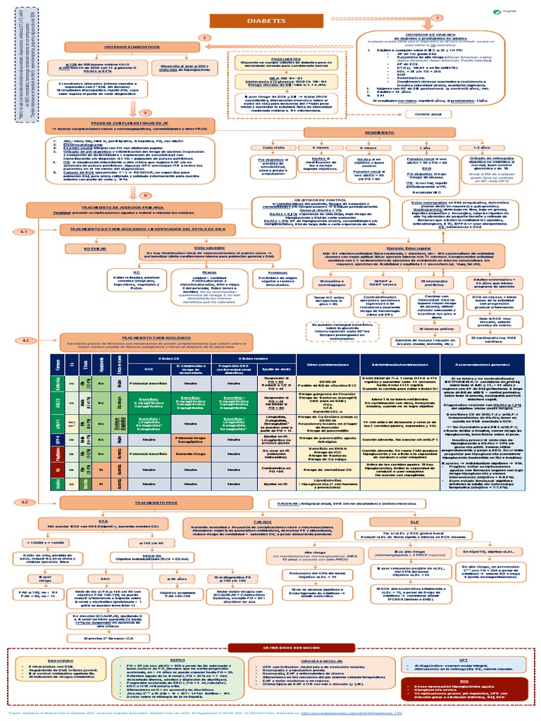 diabetes-algoritmo (1) | PDF | Diabetes | Medicina CLINICA