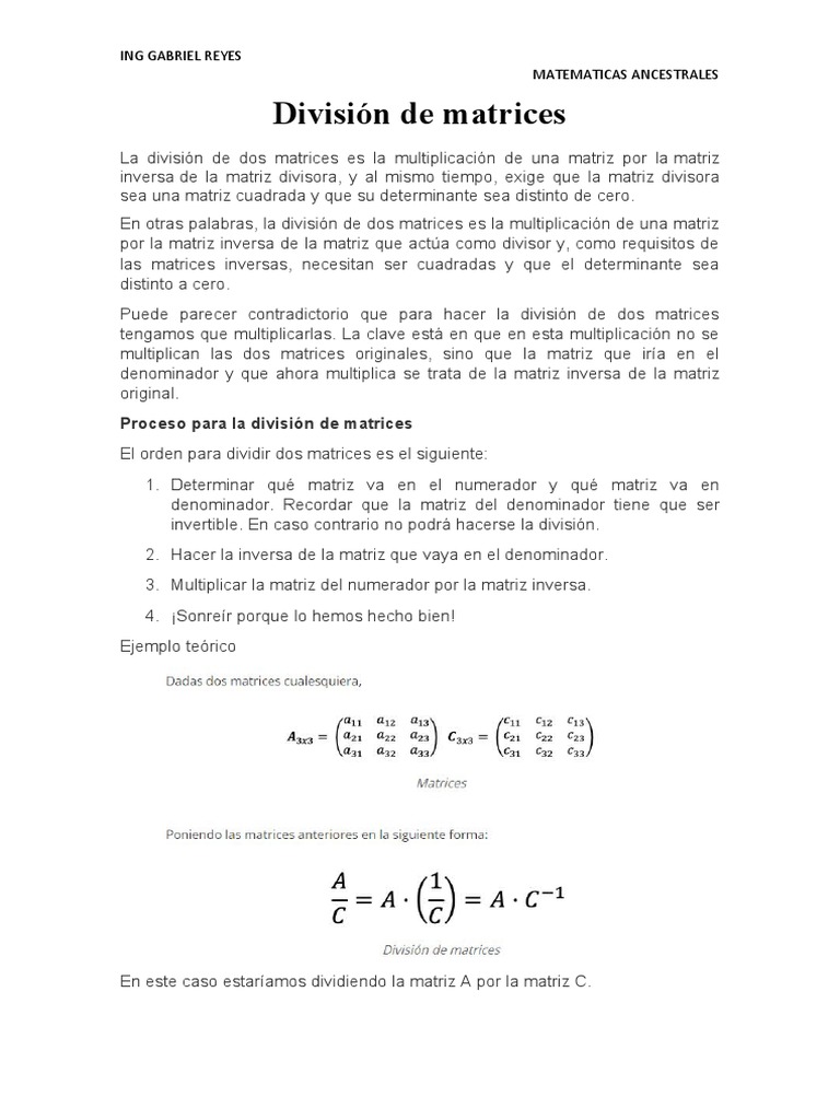 División de Matrices | PDF