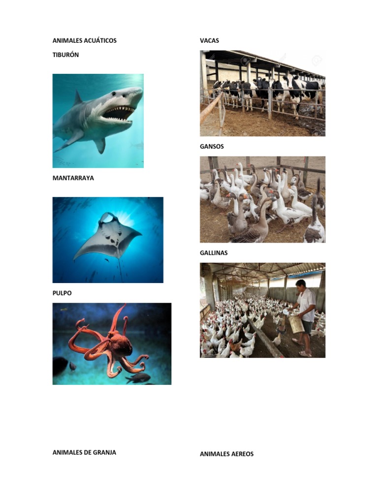 Animales Acuáticos y Terrestres | PDF