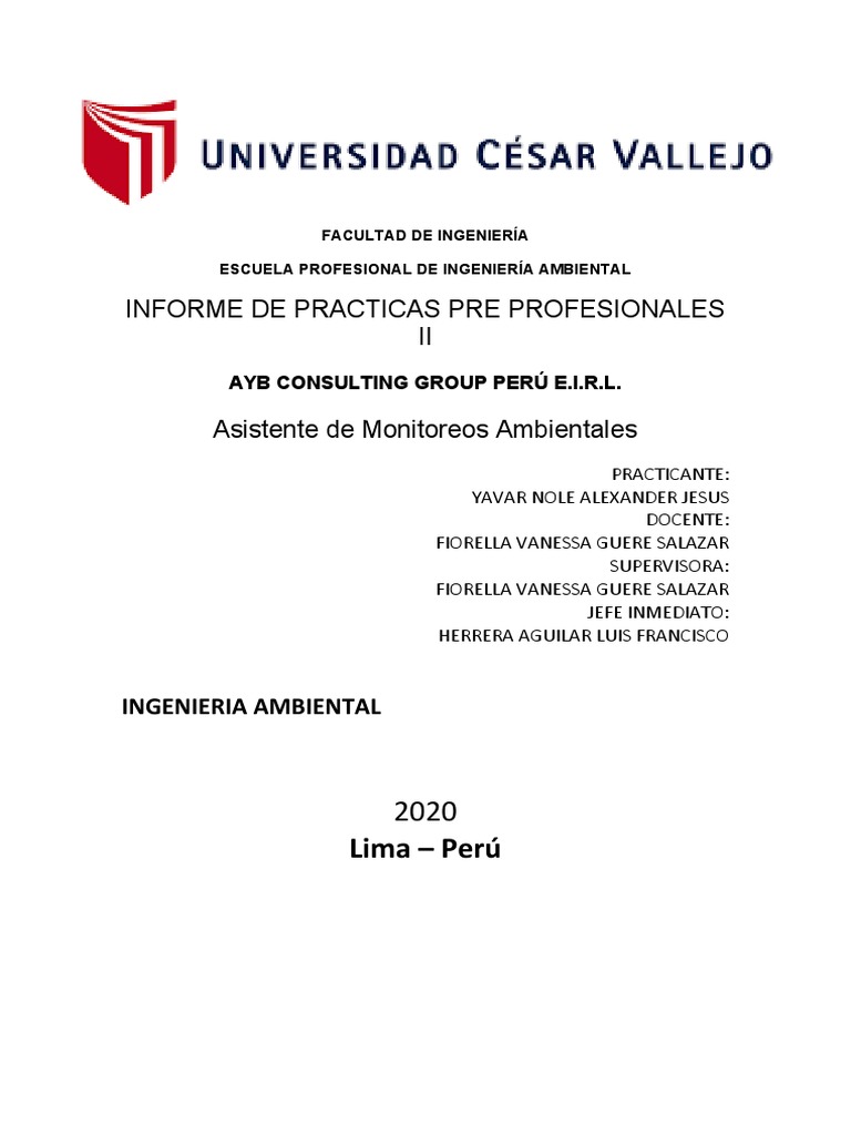 Informe de Practicas PP Ii, Yavar Nole Alexander 27 | PDF | Entorno natural | Business