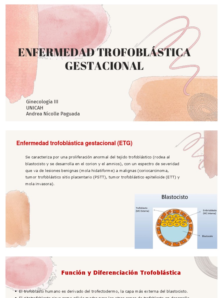 Enfermedad Trofoblástica Gestacional: Guía Completa | PDF | El embarazo ...