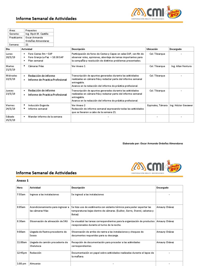 21W - Informe Semanal | PDF