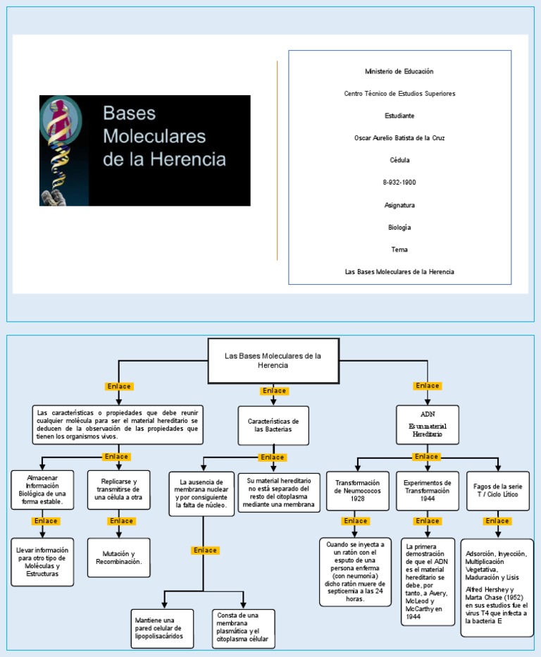 Las Bases Moleculares de La Herencia | PDF | Transformación (Genética) | Virus