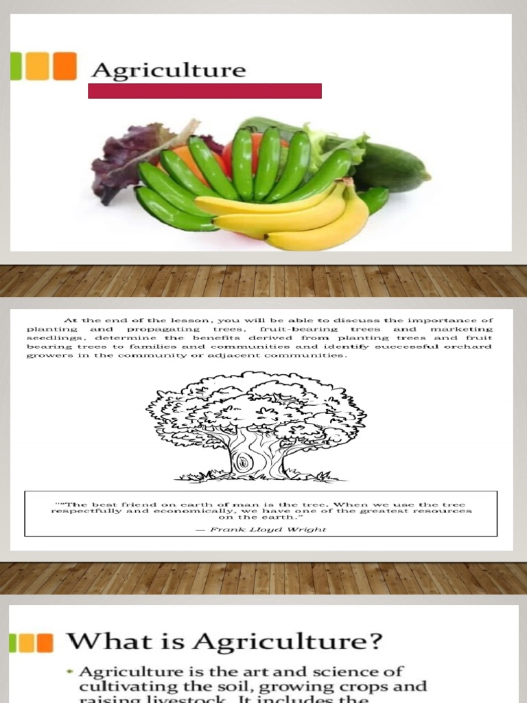 Tle - Agriculture Grade 6 | PDF