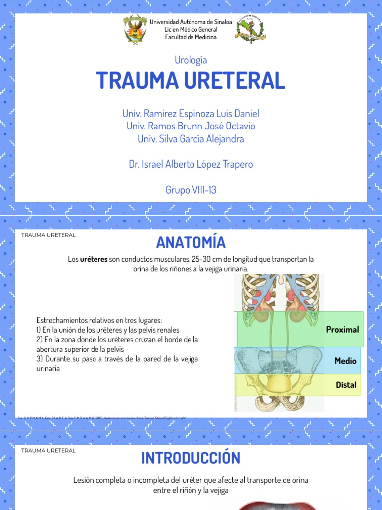 Trauma Ureteral | PDF | Lesión | Vejiga urinaria