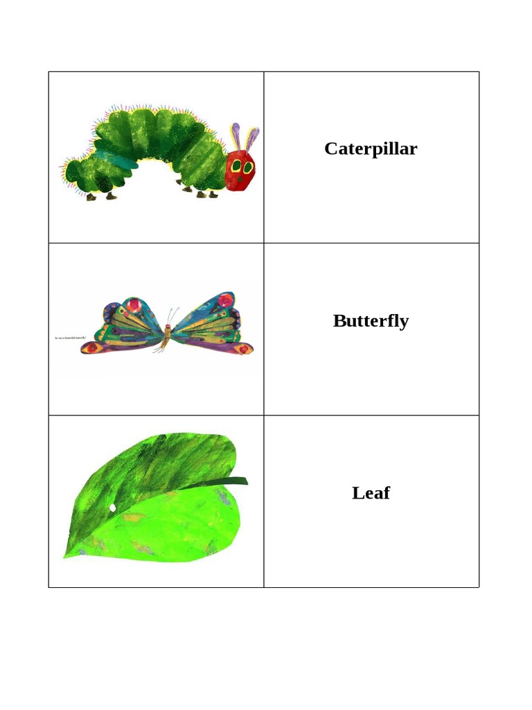 very-hungry-caterpillar-vocabulary-handout-flashcards-picture ...