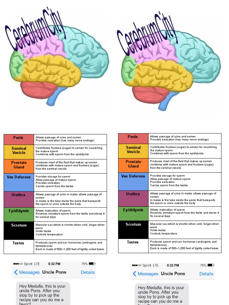 Biology Quarter 1 Unit 2 Day 7 Enrichment Escape Room Printables | PDF ...