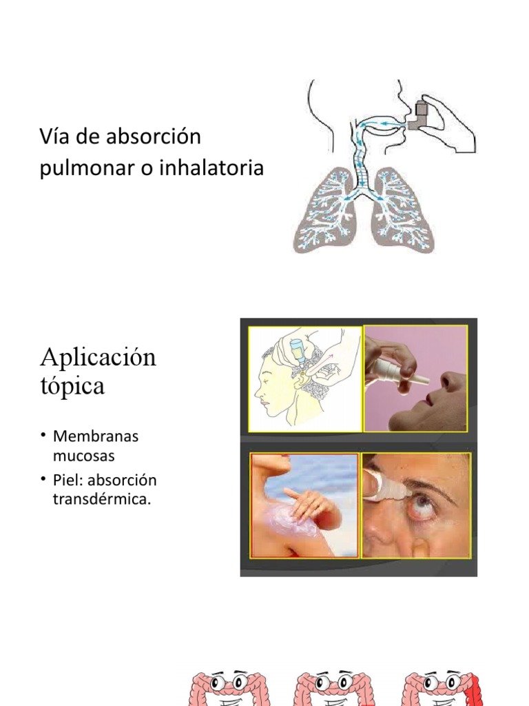 Vía de Absorción Pulmonar o Inhalatoria | PDF