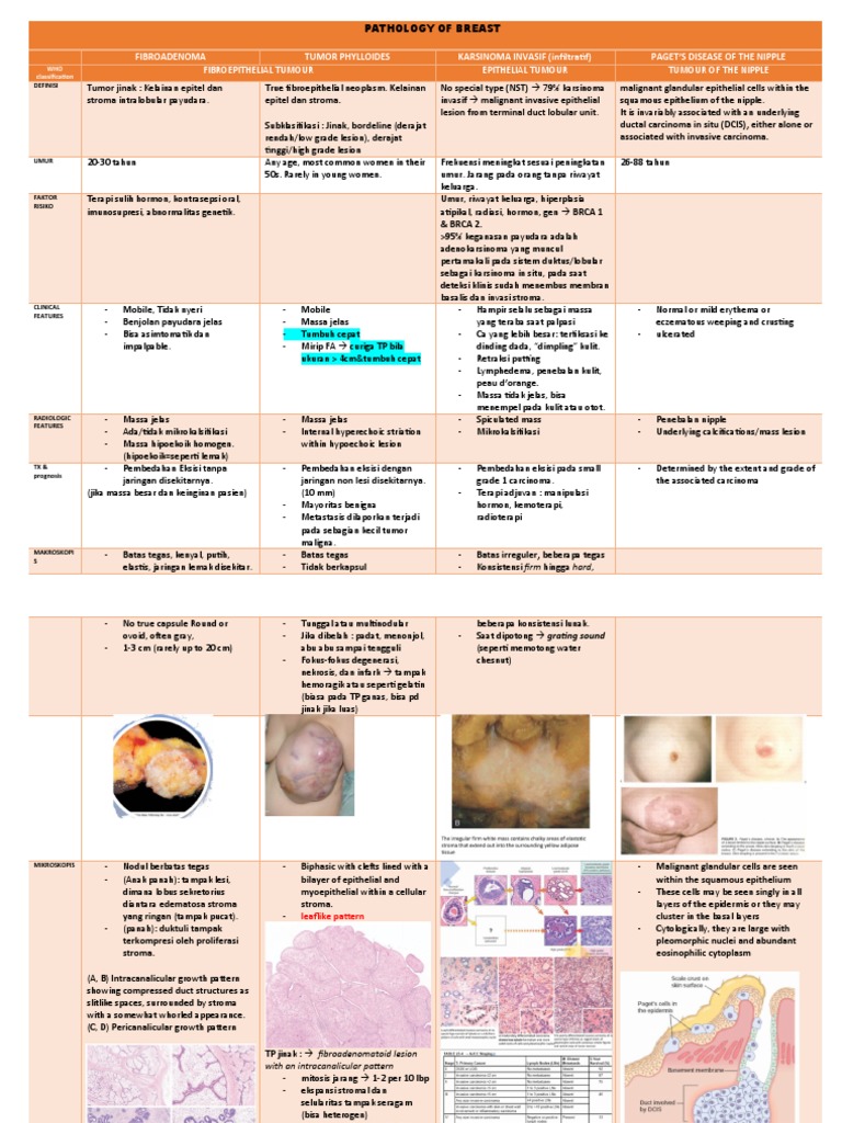 Kuliah PA-Pathology of Breast | PDF