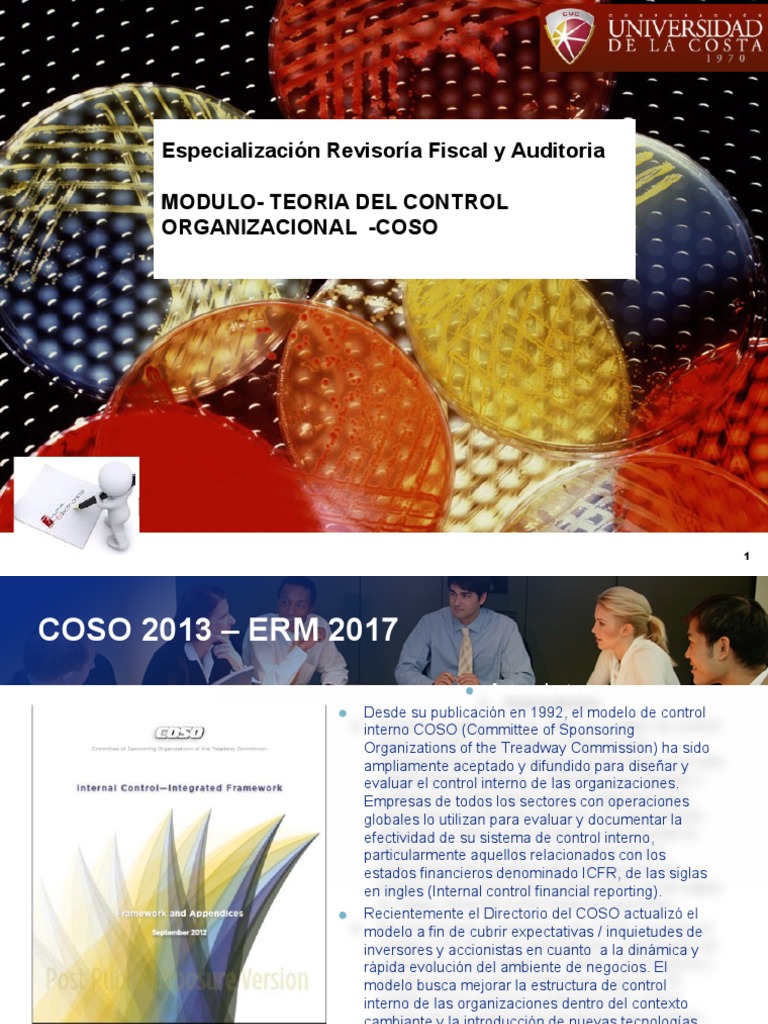 Coso Erm 2017 | PDF | Business | Economias