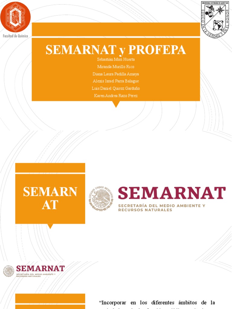 SEMARNAT y PROFEPA: Políticas Ambientales | PDF | Entorno natural ...